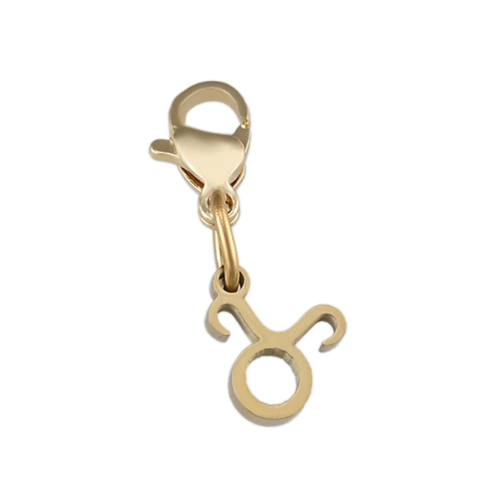 Taurus Charm